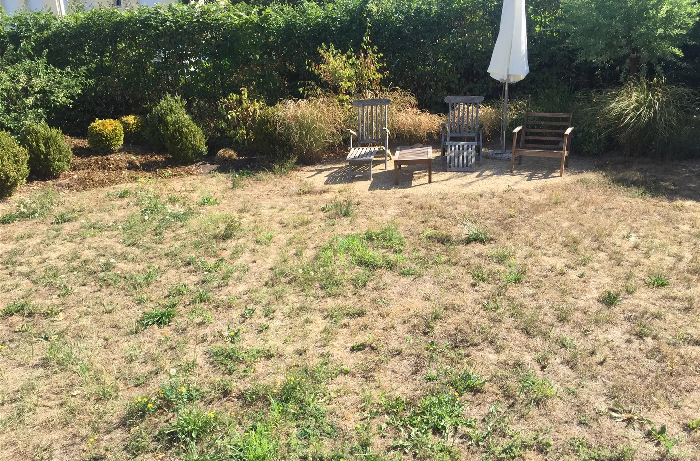 Rasen Aktuell - Baumschule Stielau